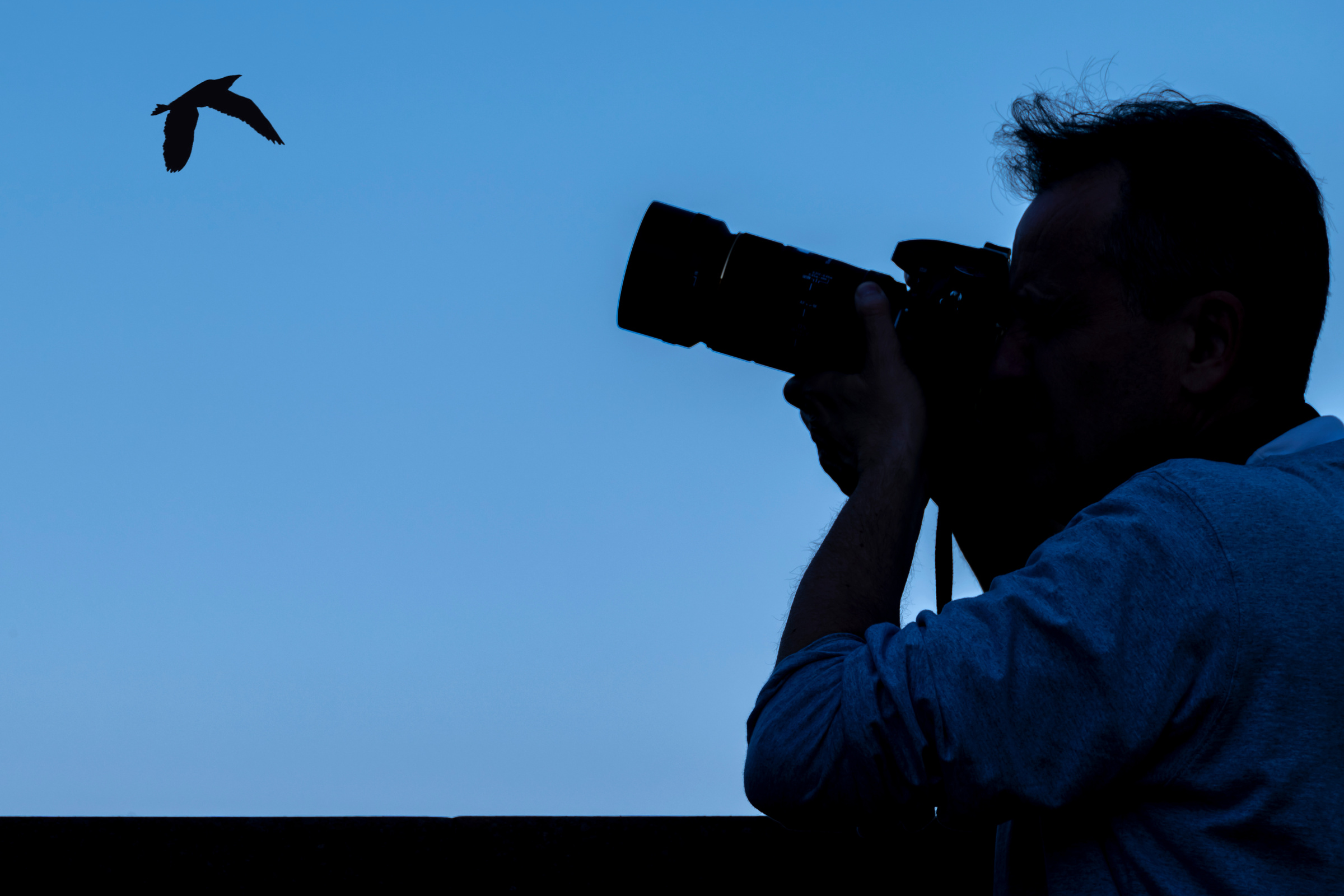 Watch this musician turn a bird’s song into a stunning AI-composed ...