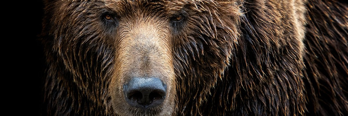 NCSC exposes Fancy Bear’s Authentic Antics malware attacks - AKEX ...